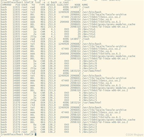 深入理解 Lsof：linux 系统中的文件打开状态洞察者使用工具如lsof或strace来跟踪和识别哪些文件或网络连接没有被正确关闭 Csdn博客