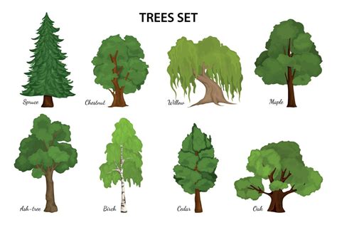 Tree Species Diagram Composition 6846510 Vector Art At Vecteezy