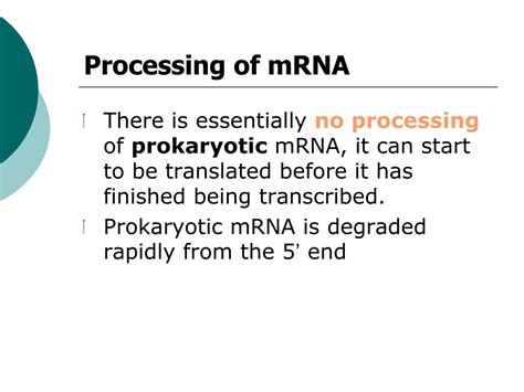 Ppt Rna Processing And Rnps Molecular Events Inducing Rna Maturity Powerpoint Presentation