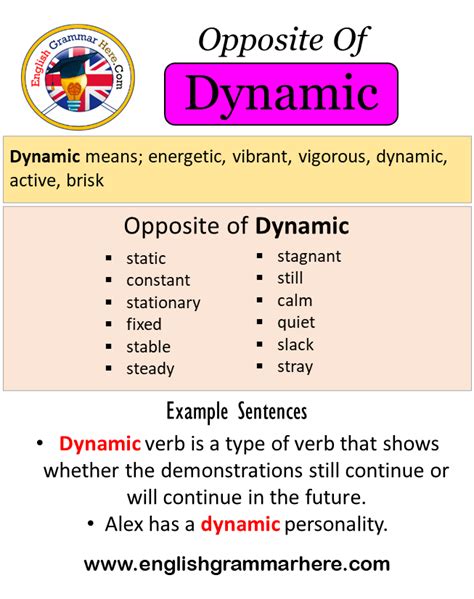 Opposite Of Dynamic Antonyms Of Dynamic Meaning And Example Sentences English Grammar Here