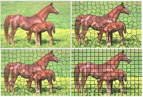 3 superpixel generating effect of original image top left and download scientific diagram