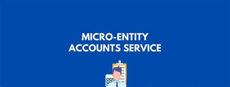 Micro Entity Accounts Preparation File Statutory Accountant