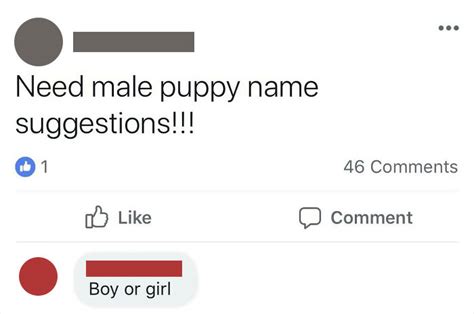 50 Times Others Caught Stupid People On Facebook And Documented It