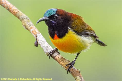 Philippines Photo Gallery