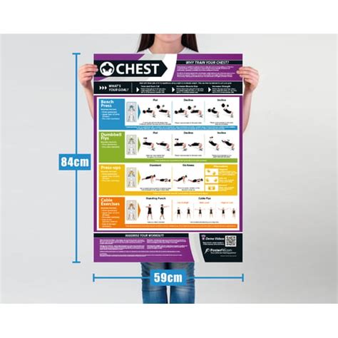 Chest Exercise Poster Innovative Gym Fitness Charts