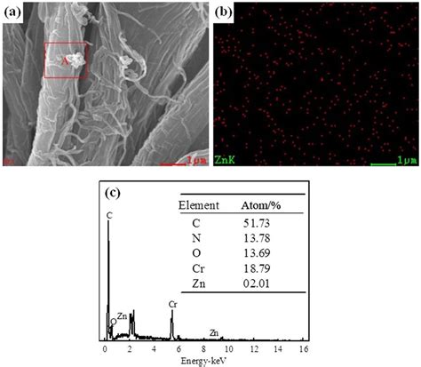 Sem Eds Of Cross Section Leather Fatliquored By Mhco Gptms Zno Composites Download Scientific