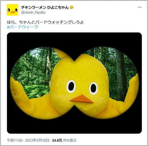 チキンラーメン公式キャラひよこちゃんが鳥好きを煽るほらちゃんとバードウォッチングしろよ 連載JP