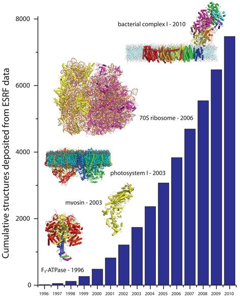 A Grand Year For European Structural Biology