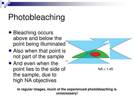 Ppt Arbitrary And Dynamic Patterning In A Programmable Array Microscope Powerpoint