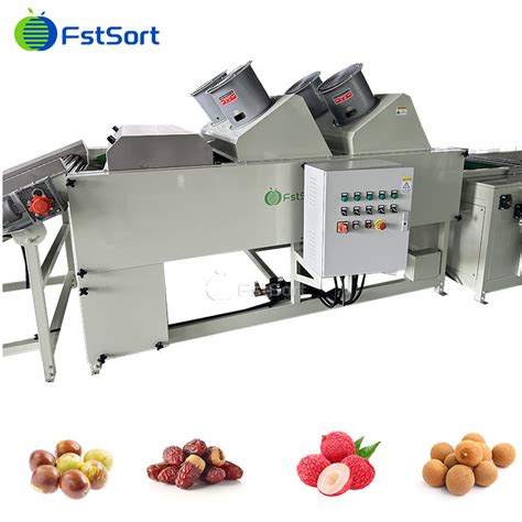 custom fresh medjool dates sorting machine for vegetable and fruit