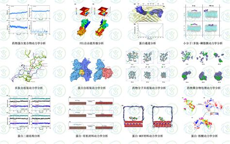 分子动力学模拟 森煜智研科技