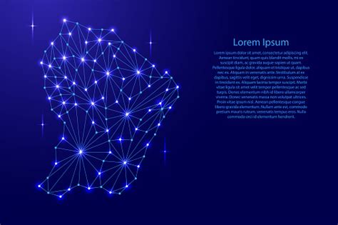 프랑스령 기아나 지도 다각형 모자이크 라인 네트워크 광선 및 벡터 일러스트 레이 션의 공간 별 0명에 대한 스톡 벡터 아트 및
