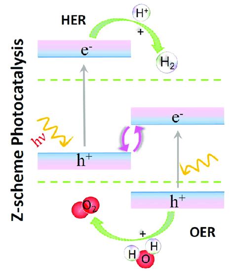 Color Online Schematic Of Z Scheme Photocatalysis Download Scientific Diagram