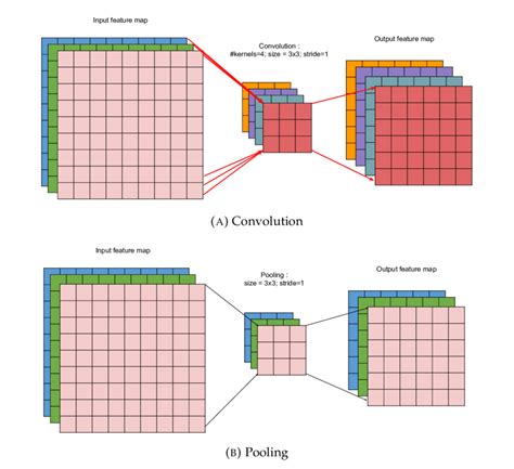 10 Convolution Versus Pooling Features Mapping Download Scientific Diagram