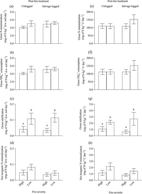 Mean Values ±se Of Gross Nitrogen N Mineralization Ae Gross Download Scientific Diagram