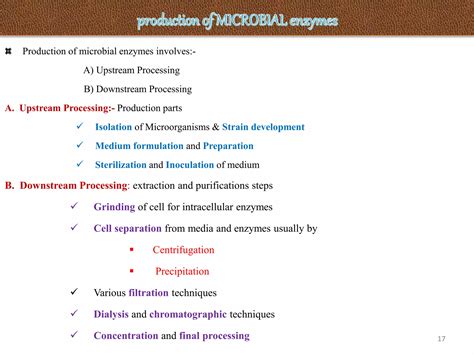 Production Of Enzyme Pptx
