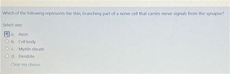 Solved Which Of The Following Represents The Thin Branching