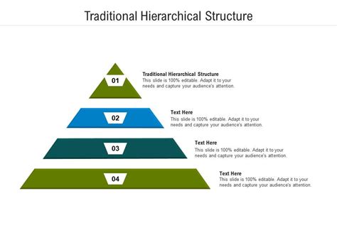 Traditional Hierarchical Structure Ppt Powerpoint Presentation