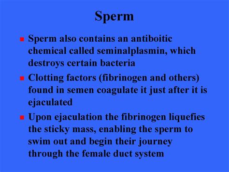 The Reproductive System Ppt Download