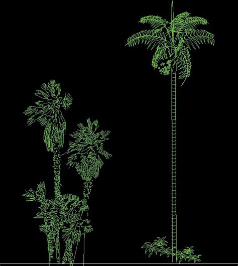 Palm Tree Block Autocad IMAGESEE