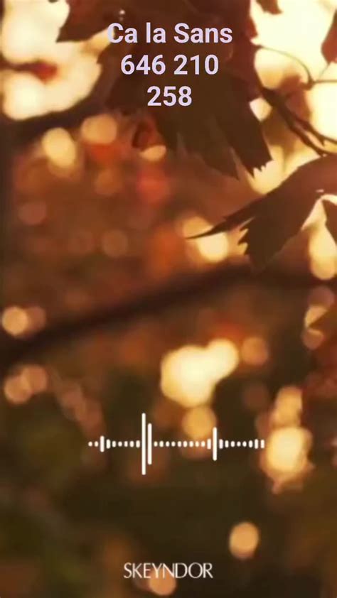 ¡bienvenido Otoño🍂 Conoce Cómo Puede Afectar El Cambio De Estación A