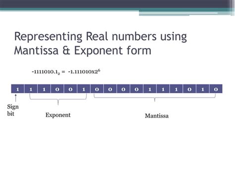data representation class 11 computer pptx
