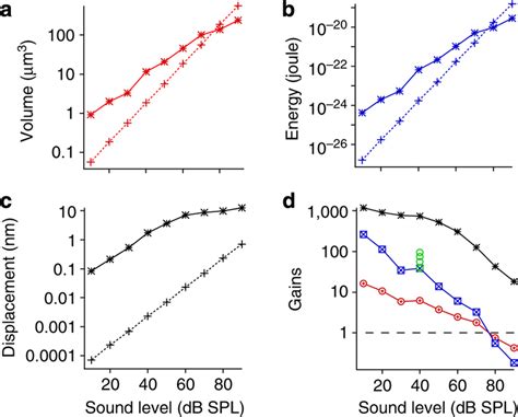 Power Gain Of Basilar Membrane Vibration A Volume Displacements Of