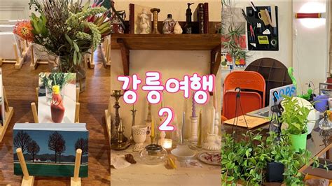 여행 2박3일 강릉여행 브이로그 2부 10월 강릉여행 특색있는 강릉 소품샵 투어 짧은 하울까지 Youtube