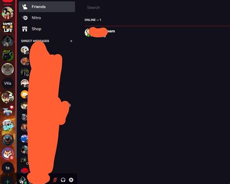 Discord Bug Roperagx