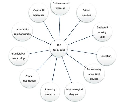 Infection Control Practice Ipc And Stewardship Cornerstone For C Download Scientific Diagram