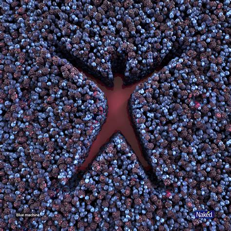 Naked Pitch Ideas For Key Visual Behance