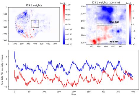 Analyzing Calcium Imaging Data Using Python Focalplane