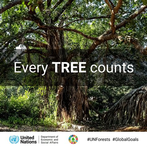 Un Biodiversity On Linkedin Biodiversity 14 Comments