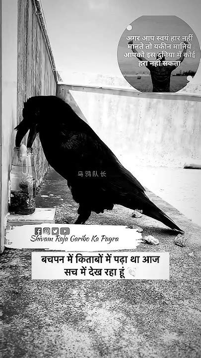 बचपन का सुनना आज सारा सच हो रहा है आंखो से देखा रहा हूshortvideosnew