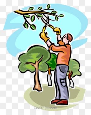 Clipart For Tree Trimming Clip Art For Tree Trimming Tree Trimming Cartoon Free
