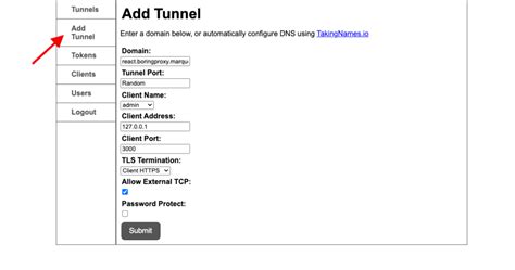 boringproxy how to expose local services publicly on the internet