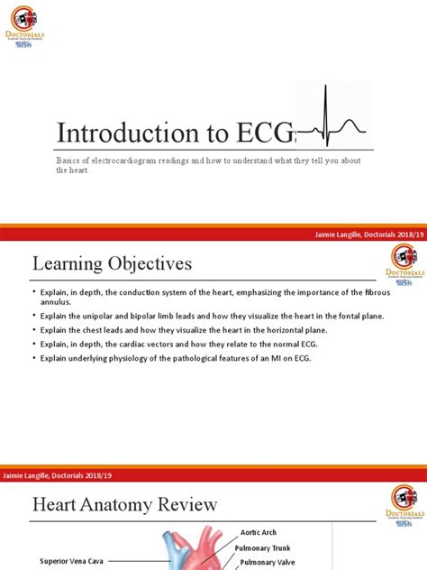 introduction to ecgs doctorials pdf