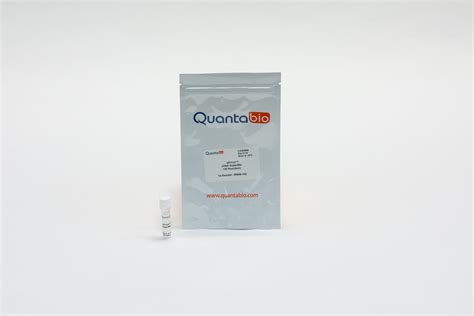 Qscript Cdna Supermix First Strand Cdna Synthesis Quantabio