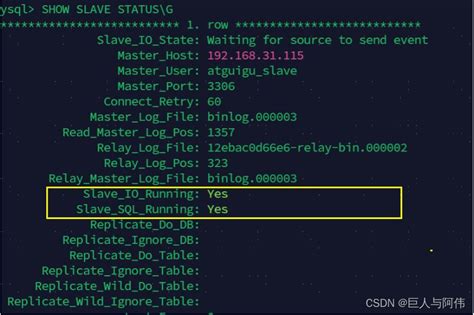 Docker 容器 Mysql 配置主从docker Mysql主从配置 Csdn博客
