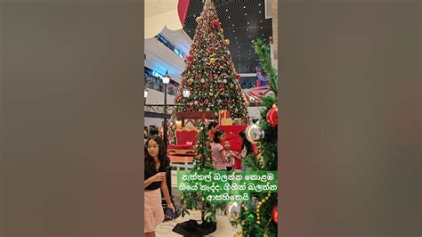 කොළඹ නත්තල් අසිරිය Youtube