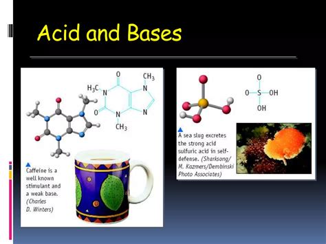 Acid Base Theory Ppt