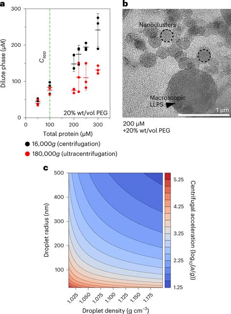 Nanoscale Llps Accounts For A Large Dense Phase Fraction Above Capp A