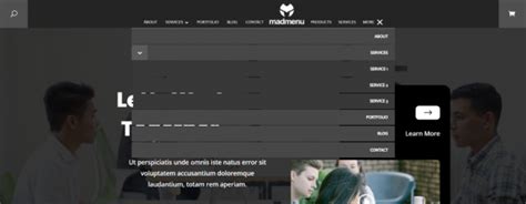 Divi Plugin Highlight Divi MadMenu Elegant Themes Blog