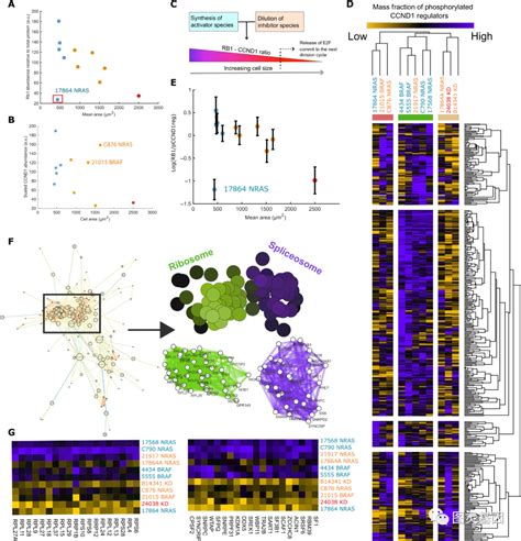 Sci Adv 多组学分析发现癌细胞耐药的多种机制 知乎