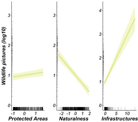 Results Of The Aggregated Model The Plots Show Predicted Values Of