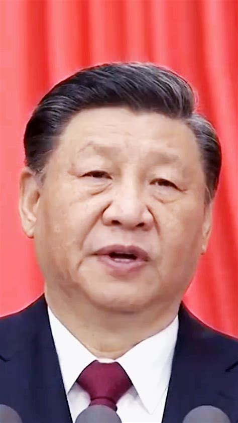 [이 시각 세계] 홍콩서 영화 곰돌이 푸 피와 꿀 상영 돌연 취소 오늘의 숏 Beta