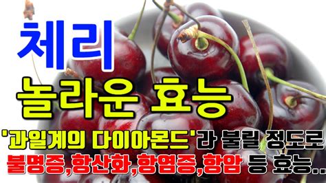 체리의 놀라운 효능 7가지 And 부작용 하루 한 줌의 행복 항산화물이 가득한 과일 Youtube