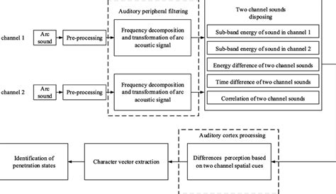 Illustration Of Binaural Auditory Perception Model For Penetration Download Scientific Diagram