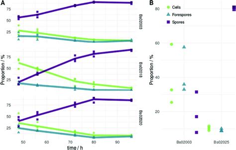 Analysis Of Sporulation Dynamics Of B Subtilis Strains Harboring