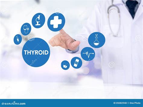 Scheme Of Thyroid Function Structural Chemical Formulas Of Thyroid Hormones Cartoon Vector